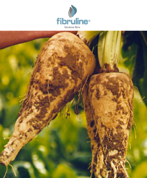 Sunshine Specialities